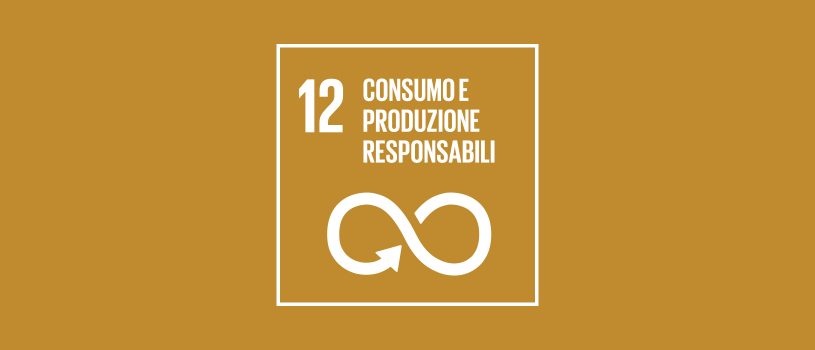 SDG 12 Consumo e produzione responsabili - Fondazione Compagnia di San ...
